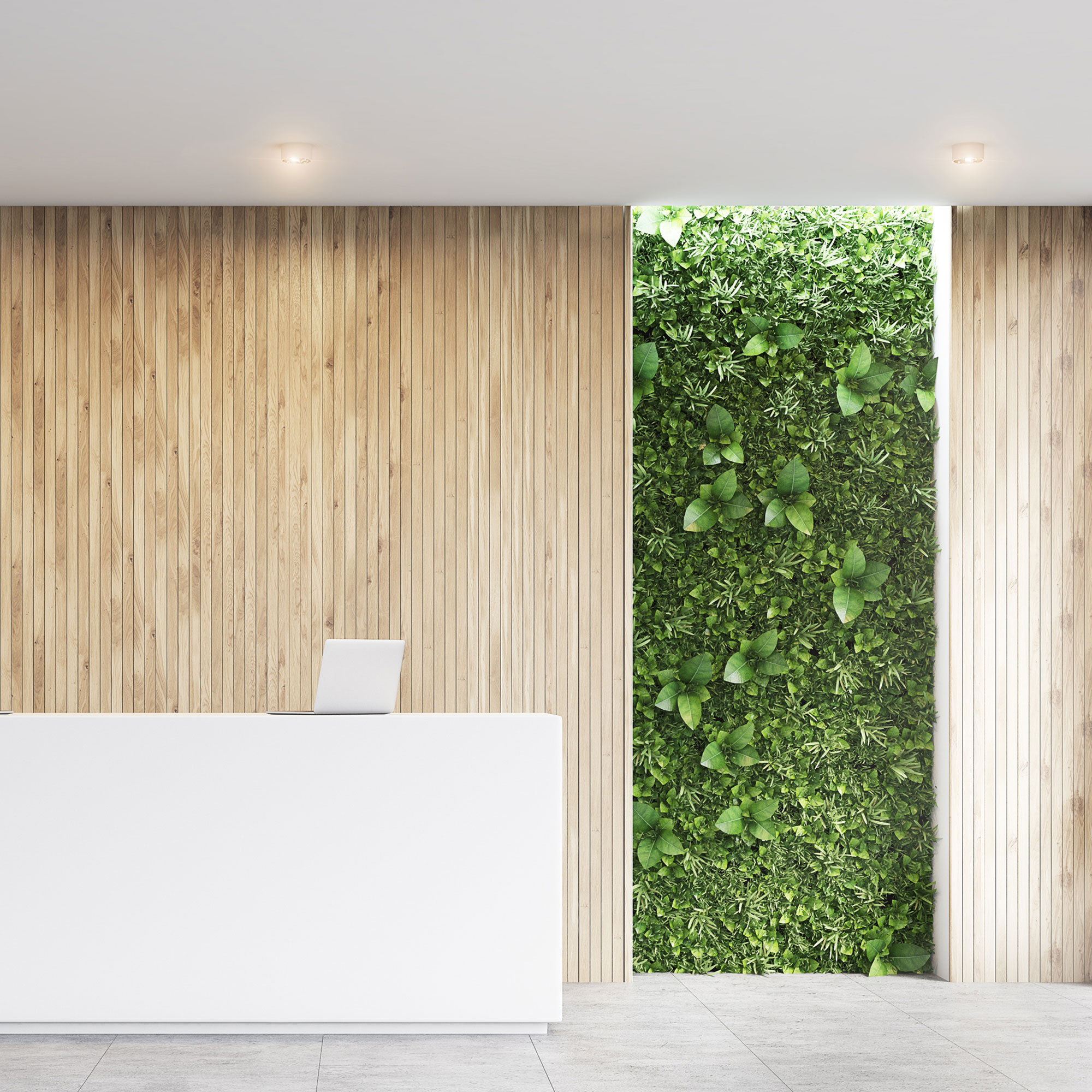 8 points to consider when designing your office reception - lib.space